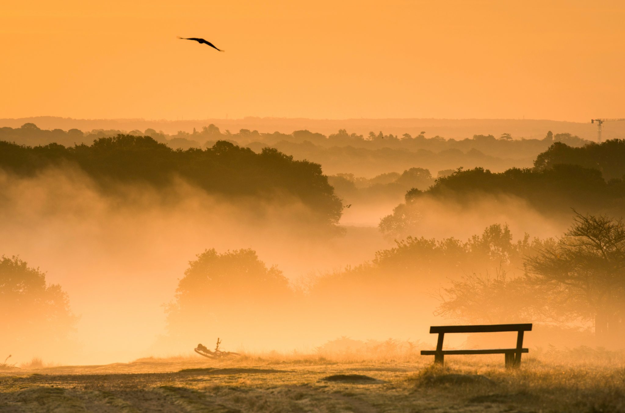 The year ahead: details and delivery – Farming