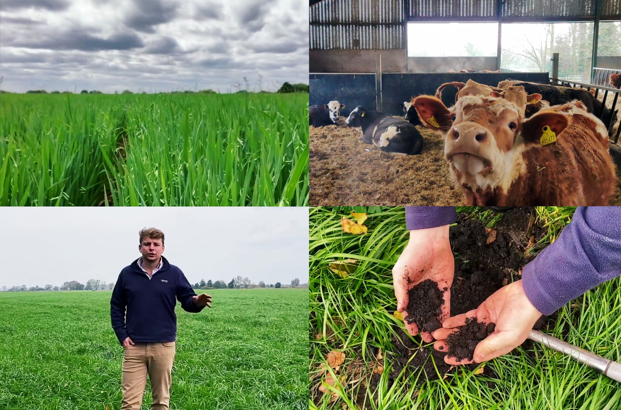 farm visits – Farming