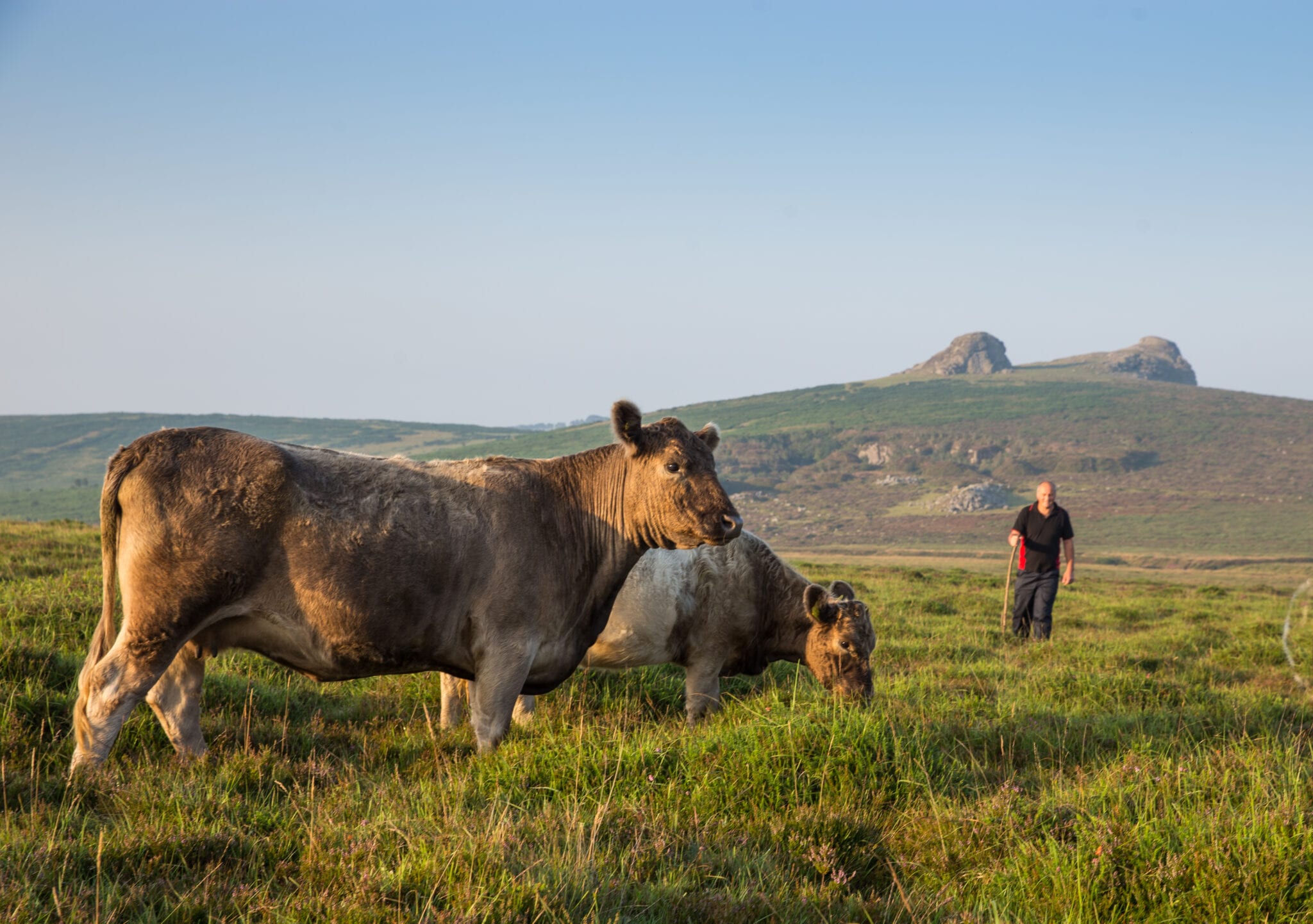 Protected landscapes: an overview – Farming