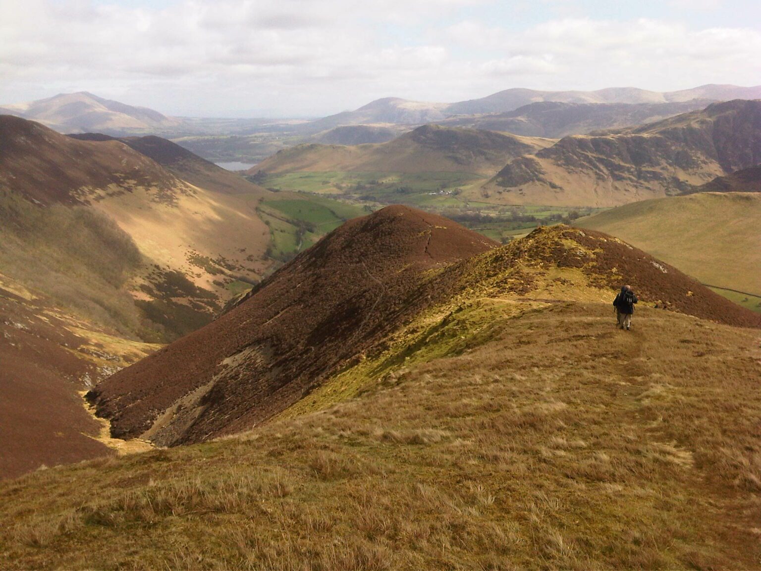 Introducing the Moorland and Rough Grazing Standard – Farming