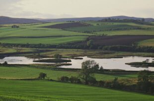 Get ready for our 3 new environmental land management schemes – Farming