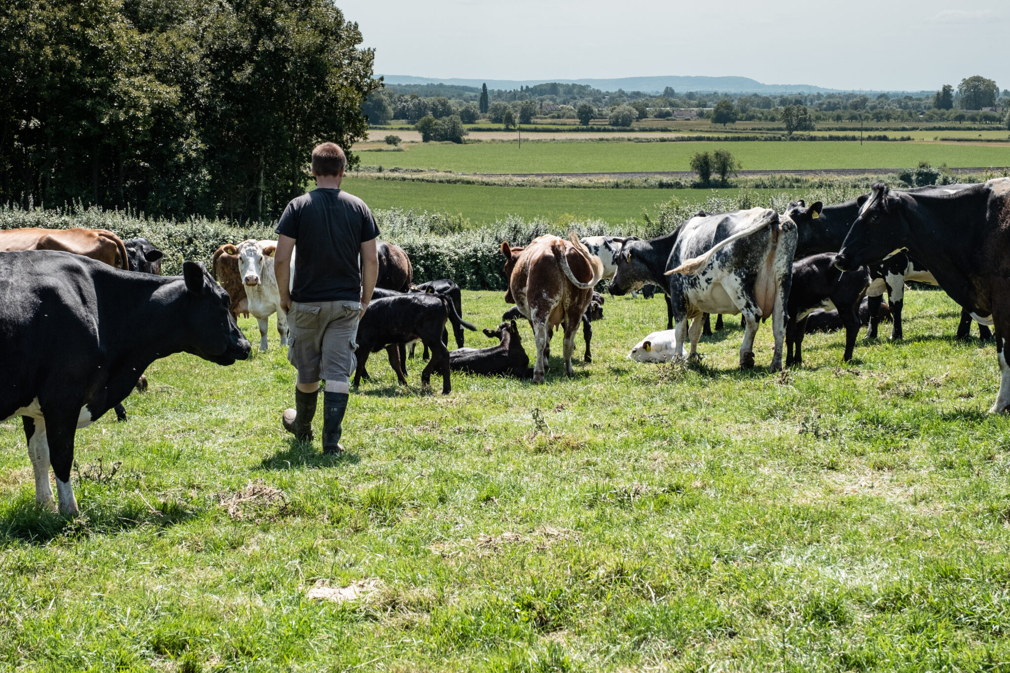 Payments for entering farming – The Farming Blog