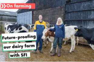 Sustainable Farming Incentive - Farming