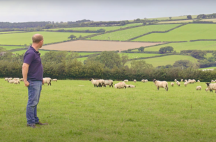 The Sustainable Farming Incentive: stats to know – Farming