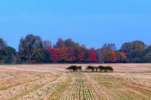 Farming – Updates from Defra's Farming and Countryside Programme