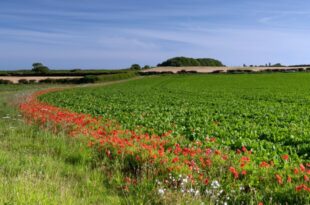 Farming – Updates from Defra's Farming and Countryside Programme