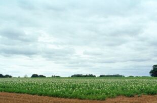 Farming – Updates from Defra's Farming and Countryside Programme