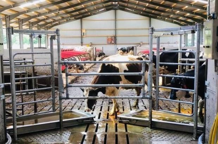 Farming – Updates from Defra's Farming and Countryside Programme
