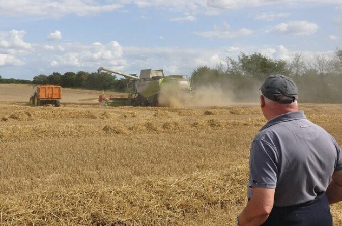 Combinable crop contracts: have your say – Farming