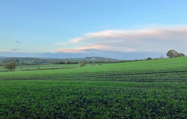 The new SFI offer for 2026 – The Farming Blog