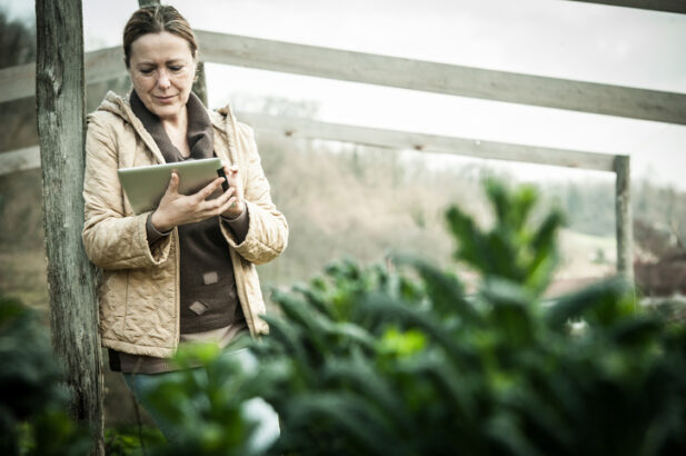 Capital grants in 2024: an overview – The Farming Blog